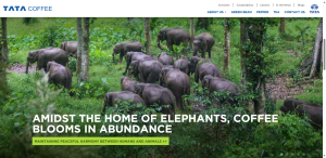 Top 10 Coffee Brands in India in 2024 | Lifestyle Weblogs